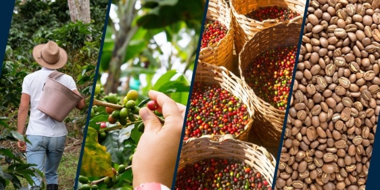 8 Specialty Coffee Drinks Recipes You Can Make At Home - Orleans Coffee